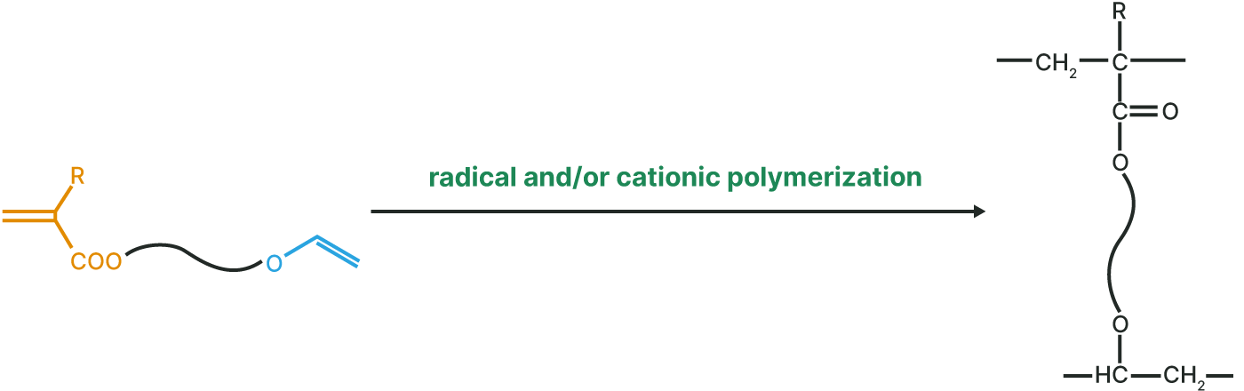 Hybrid Monomers VEEA™, VEEM™ | Products | NIPPON SHOKUBAI
