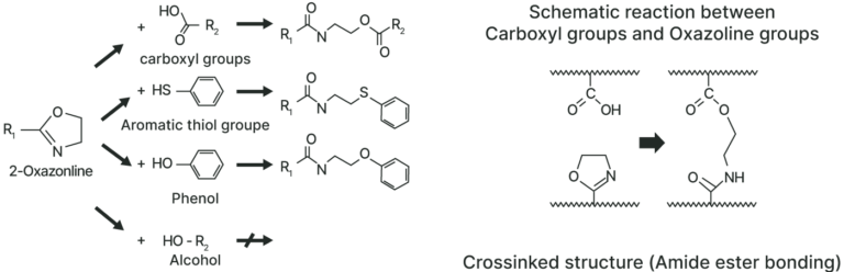 Oxazoline Group-Containing Polymer: EPOCROS™ | Products | NIPPON SHOKUBAI