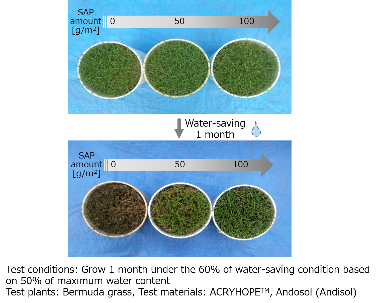 Water Retaining Agent for Horticulture: ACRYHOPE™ | Products | NIPPON ...